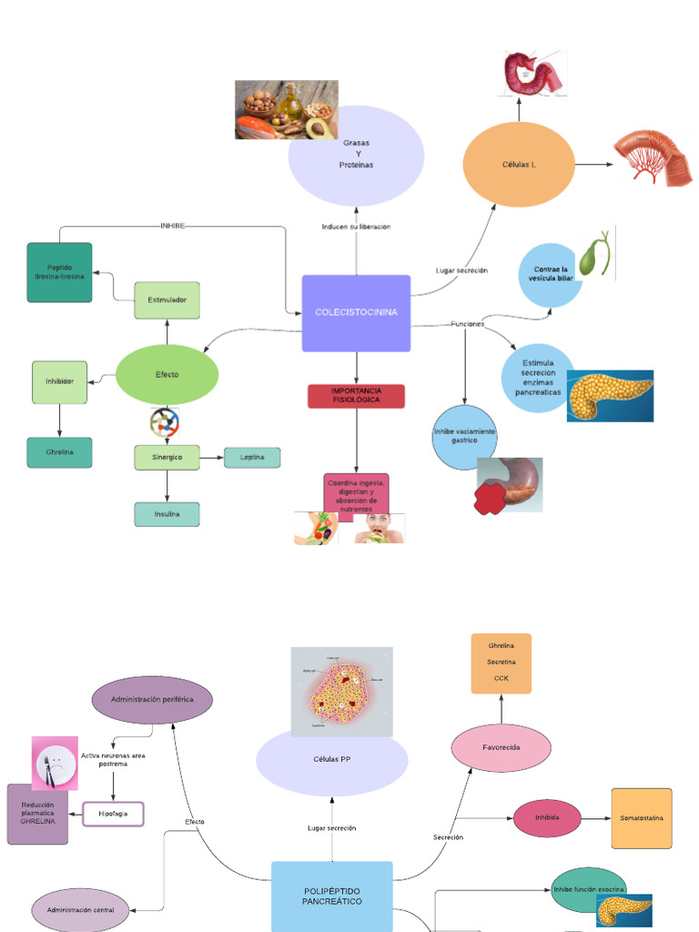 Cluster_word Web 3 | PDF