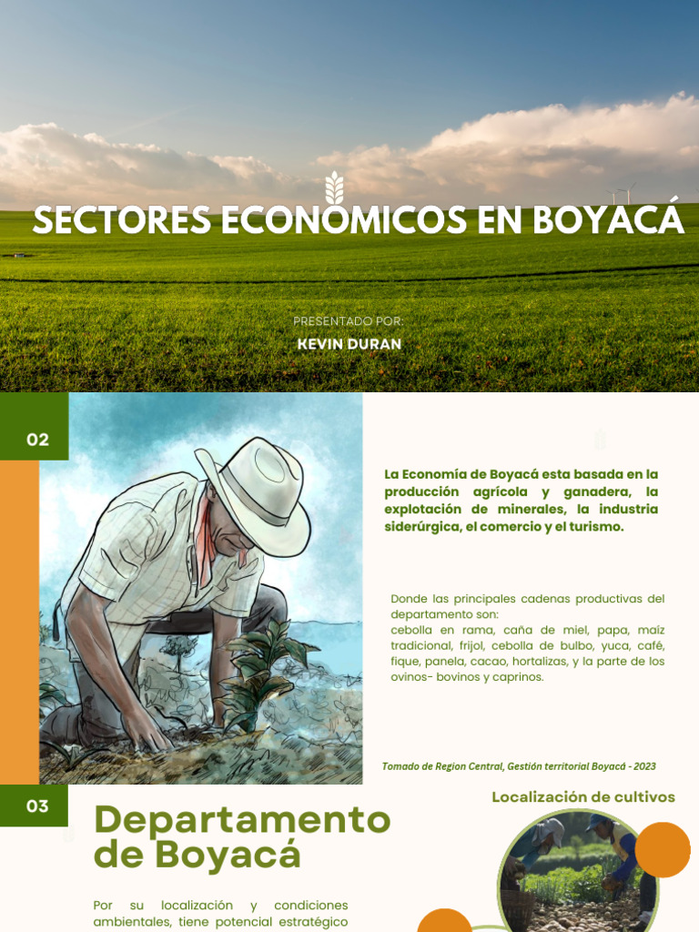 Sectores Economicos en Boyaca | PDF