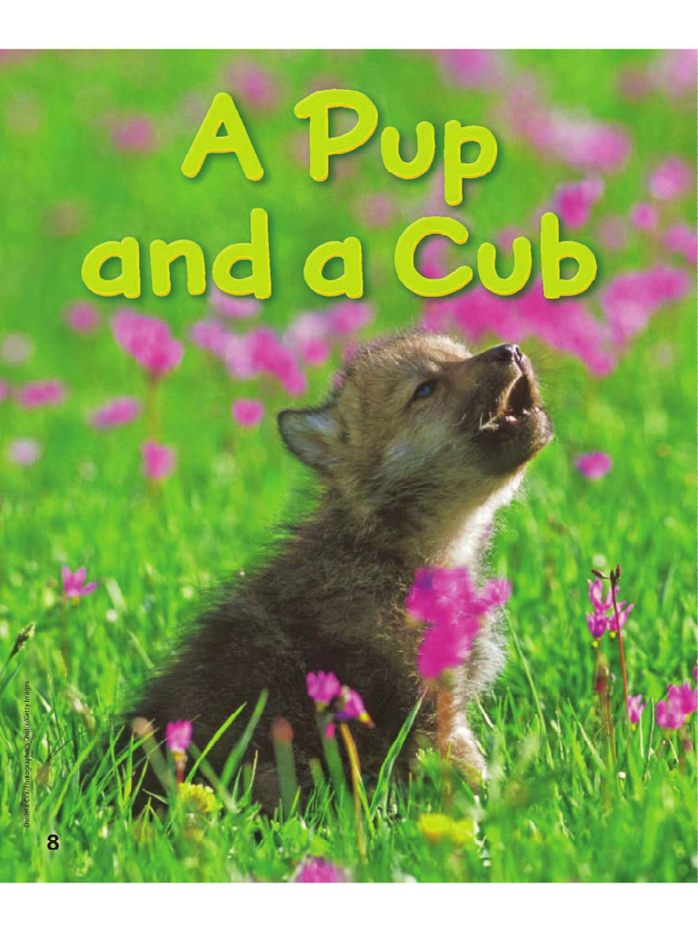 A Pup and a Cub | PDF