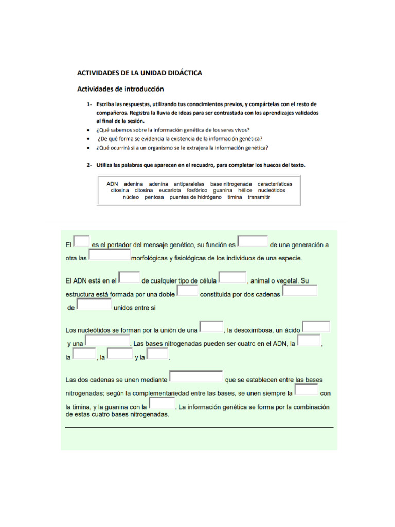 Practica Adn 2 | PDF