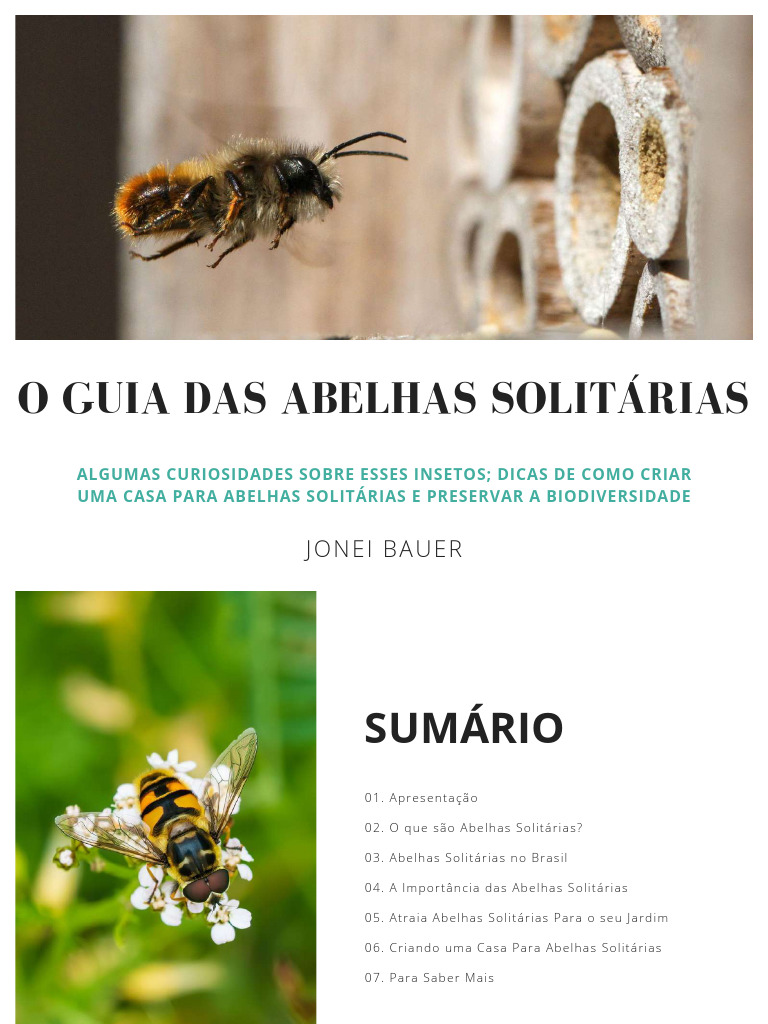 Guia Abelhas Solitárias Jonei Bauer | PDF