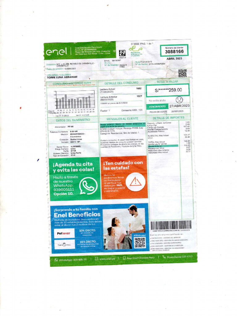 Documento Luz Maria | PDF