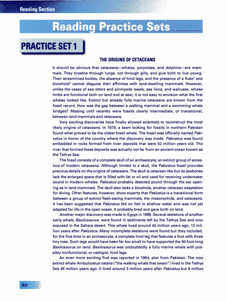 Reading Practice | PDF
