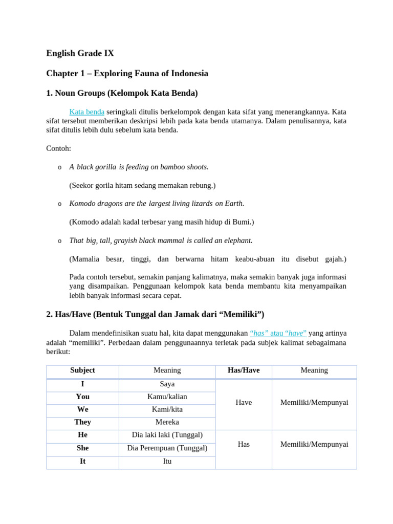 English Grade IX | PDF