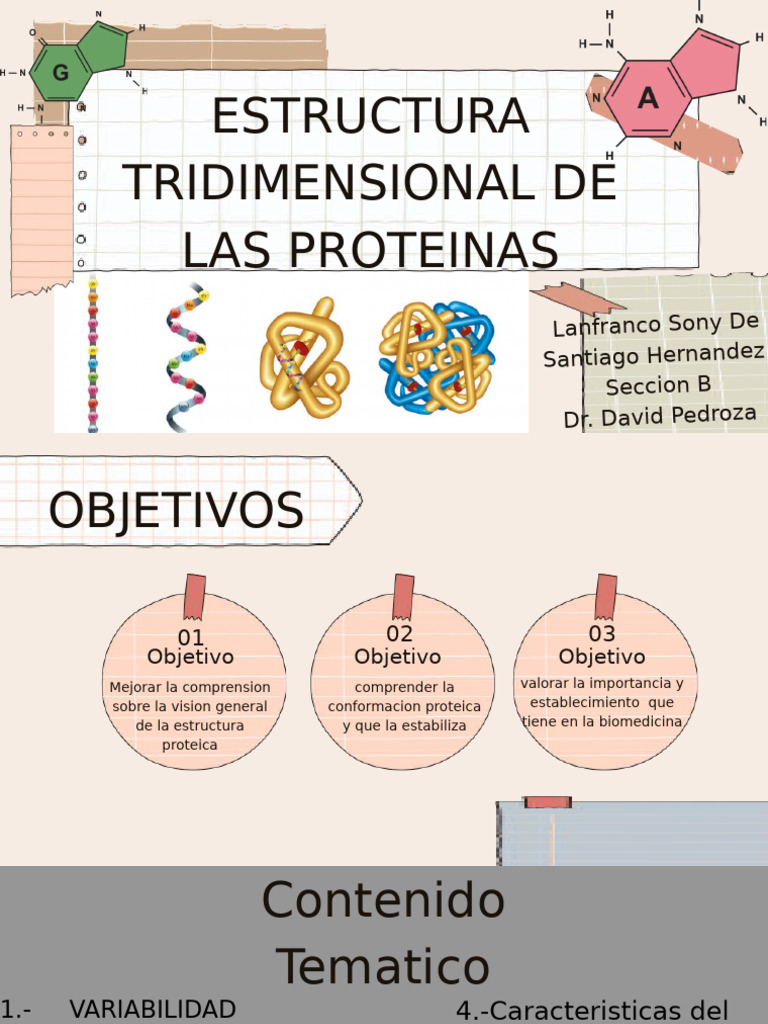 Estructura Tridimensional de Las Proteinas | PDF