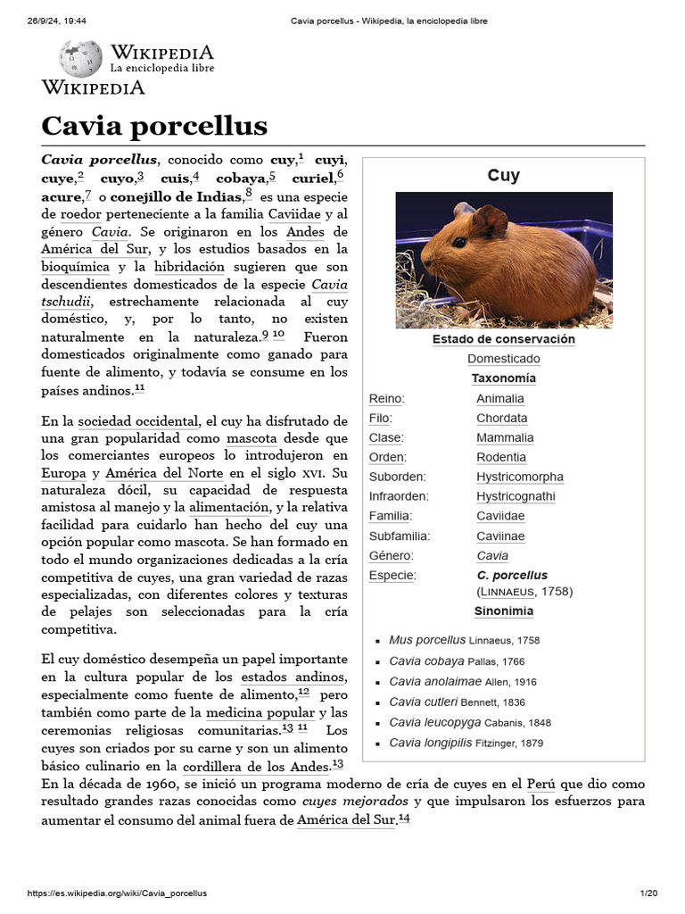 Cavia Porcellus | PDF