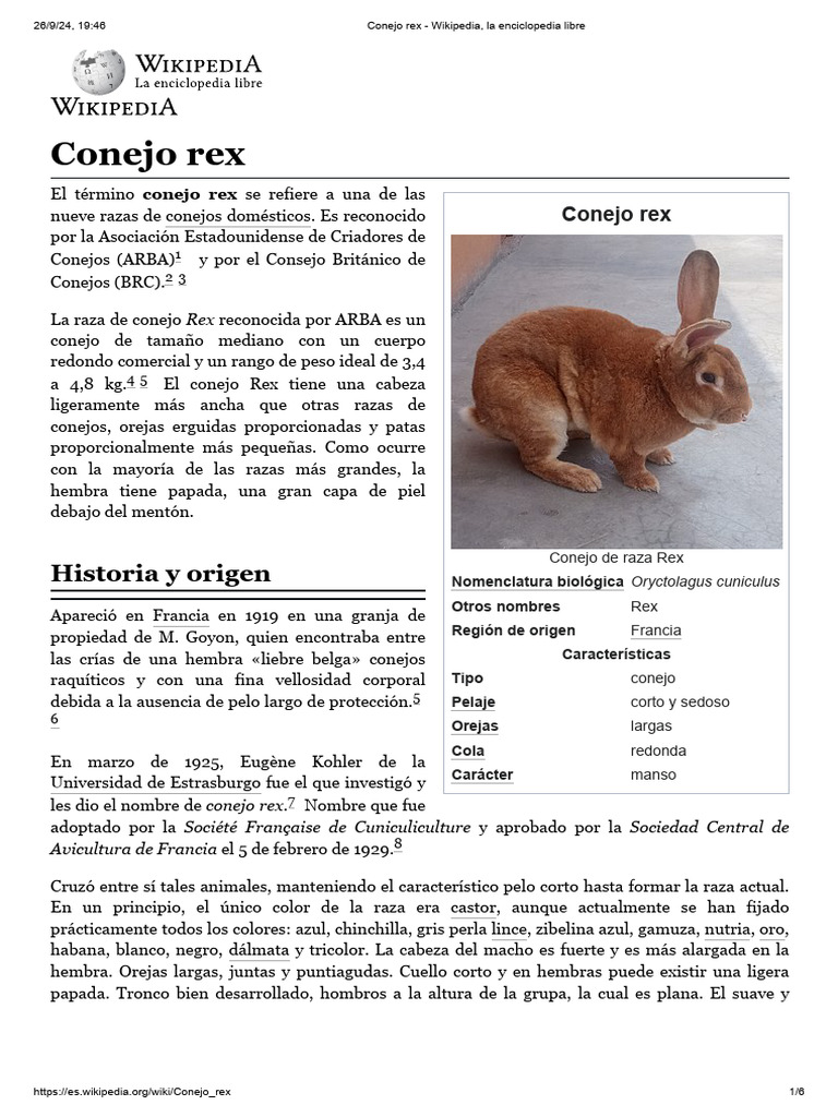 Conejo Rex | PDF