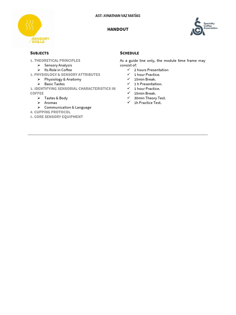 Sensory Foundation Handout | PDF