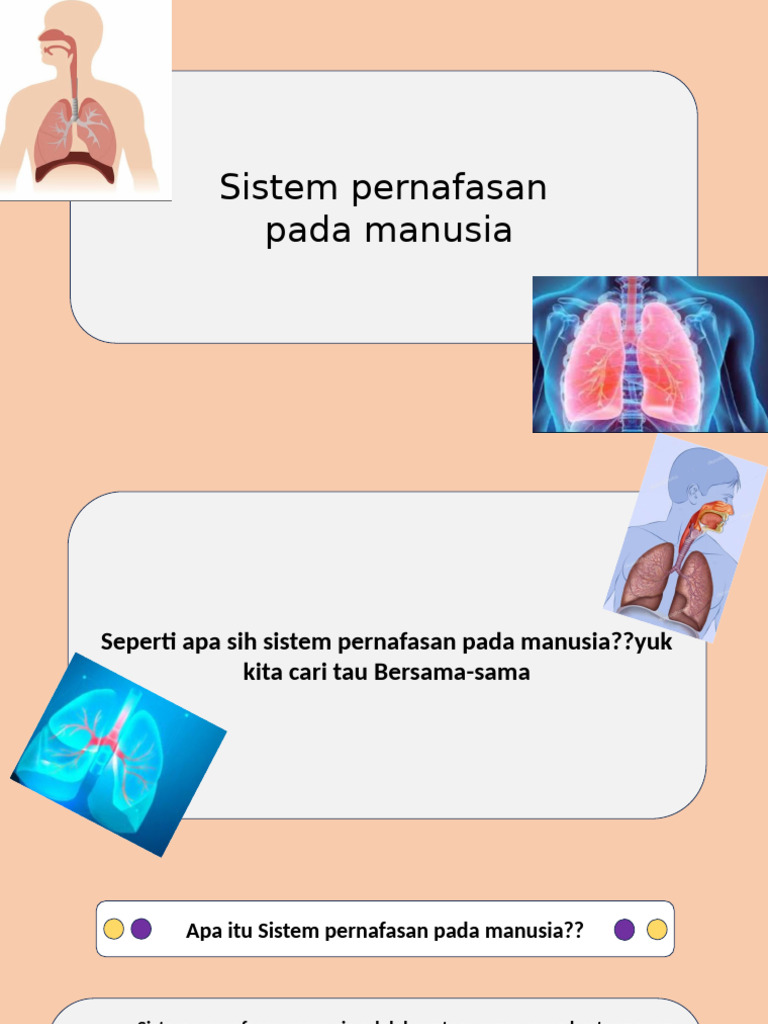Ipa Presentation | PDF