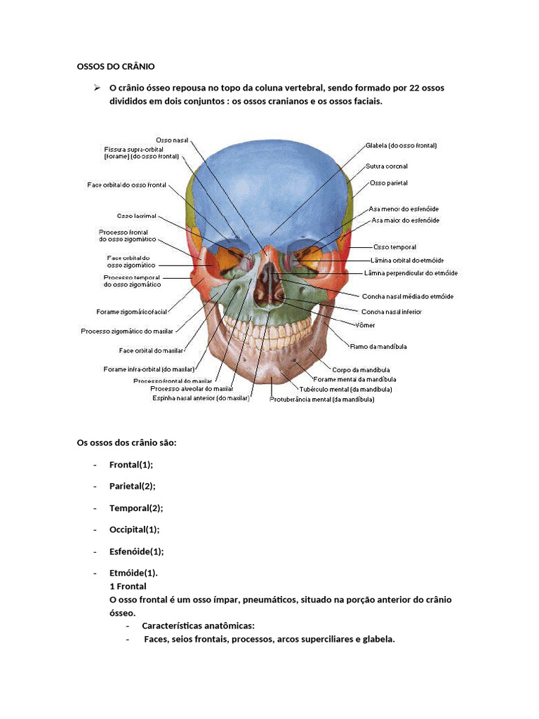 Ossos Do Crânio | PDF