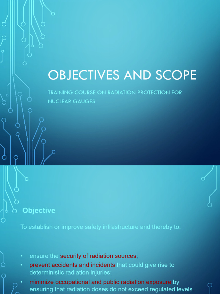 L1 Objectives and Scope | PDF