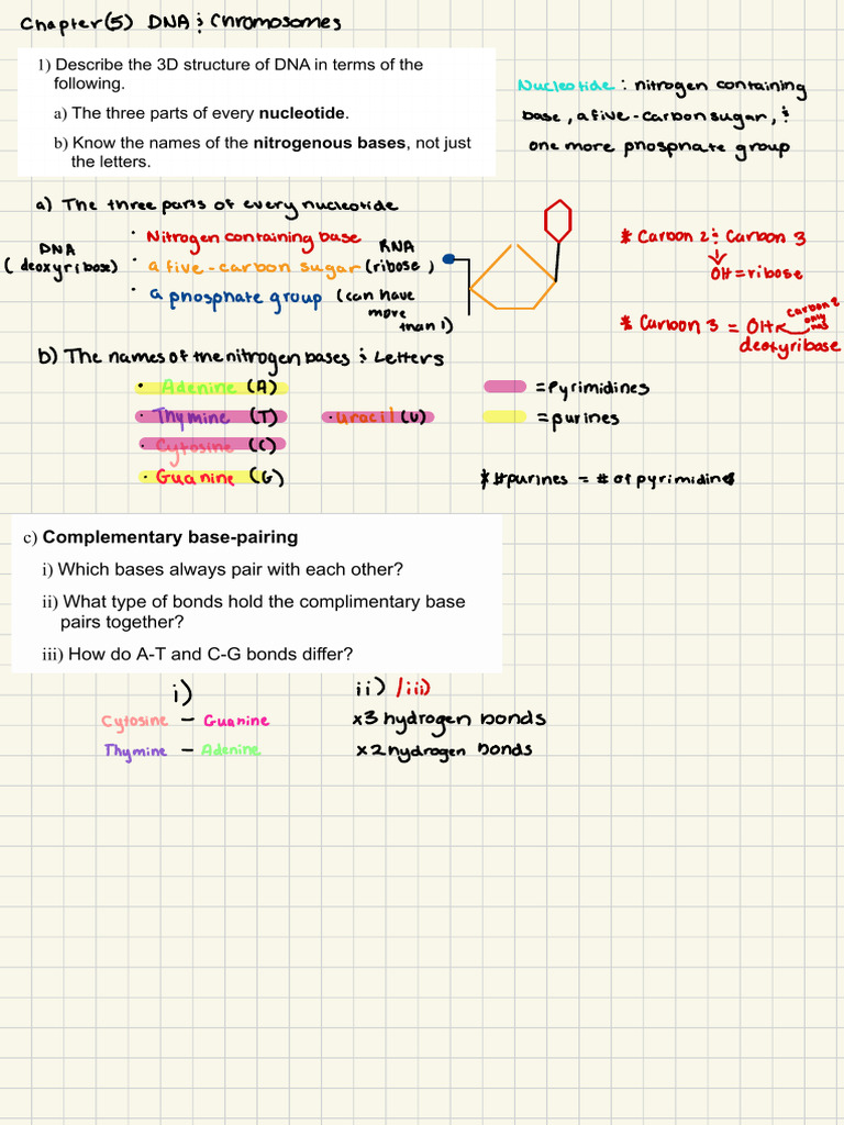 Cell Bio Chapter 5 | PDF