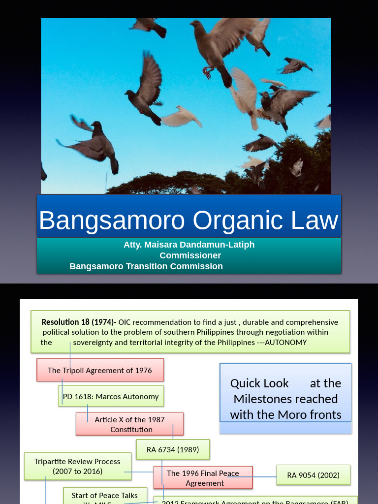 Bangsamoro Basic Law | PDF