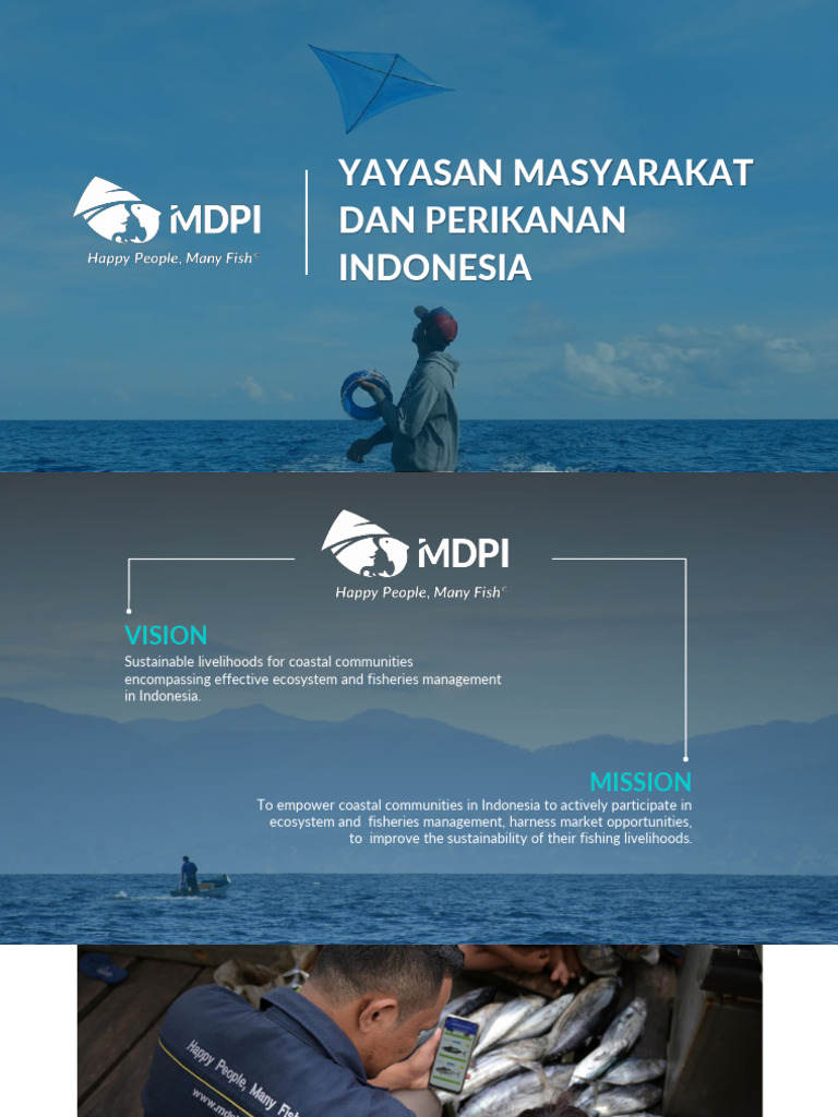 Mdpi Presentation - Stelina | PDF