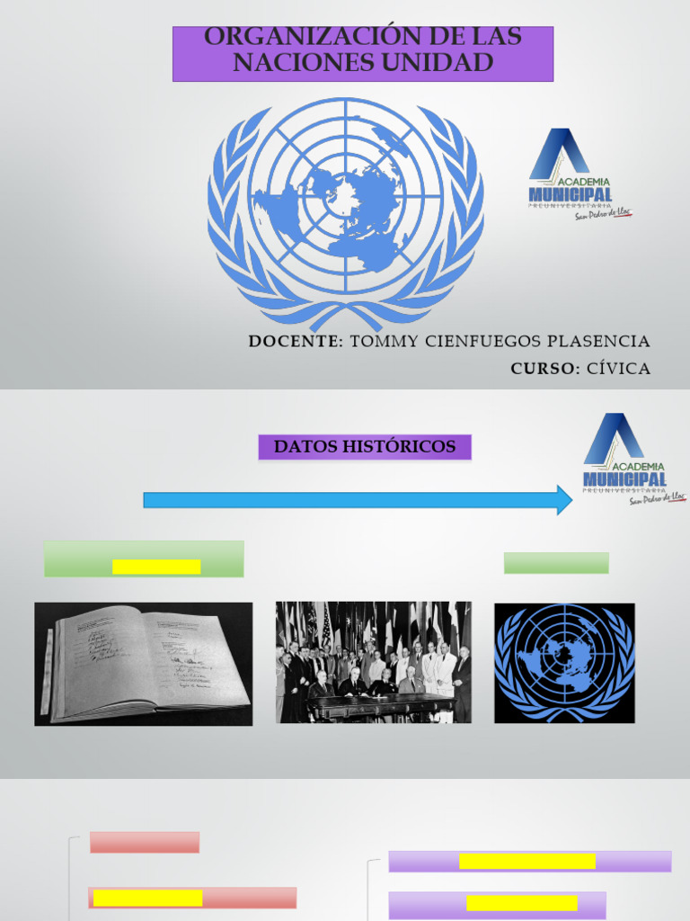 ONU | PDF