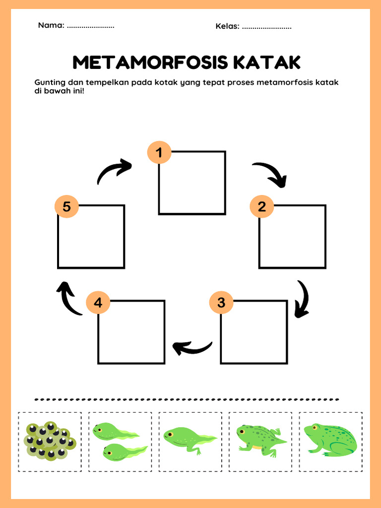Orange Putih Ilustrasi Ipa Biologi Metamorfosis Katak Lembar Kerja | PDF