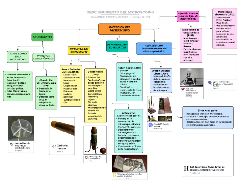 Mapa Conceptual (1) Micros | PDF