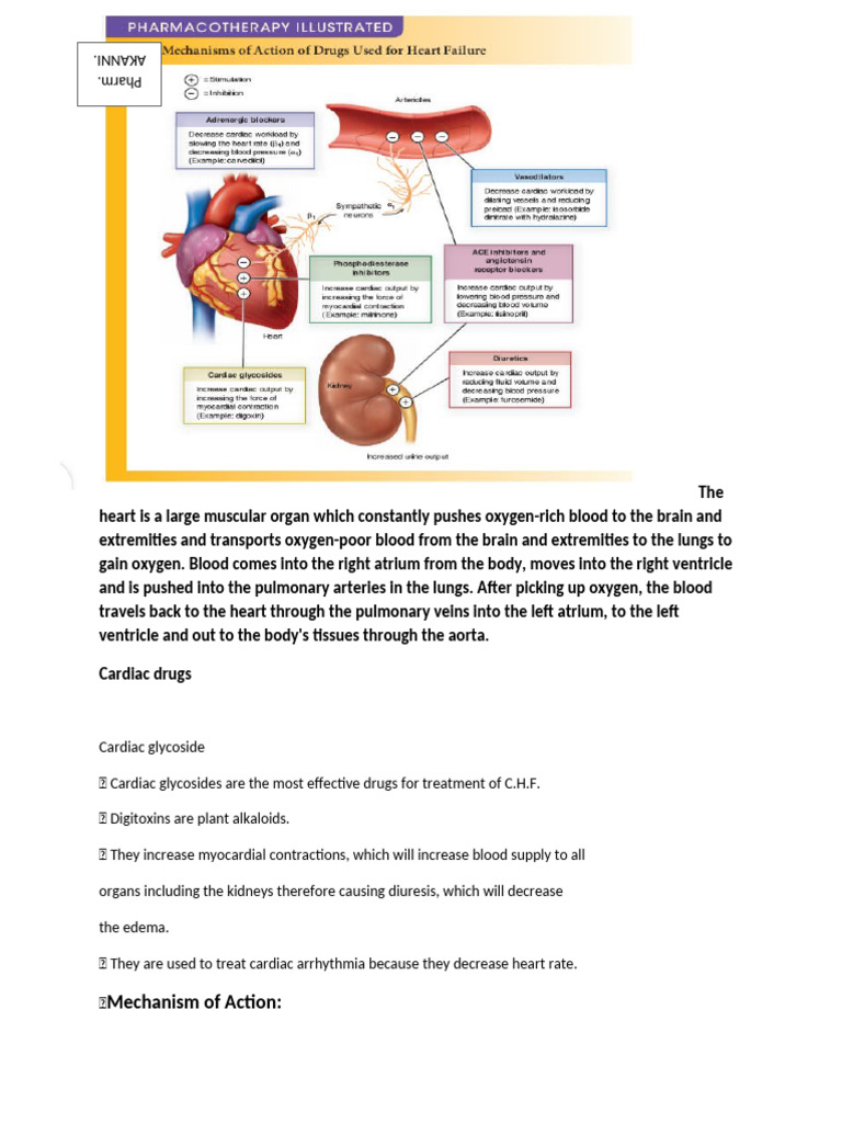 Cardiac drugs | PDF