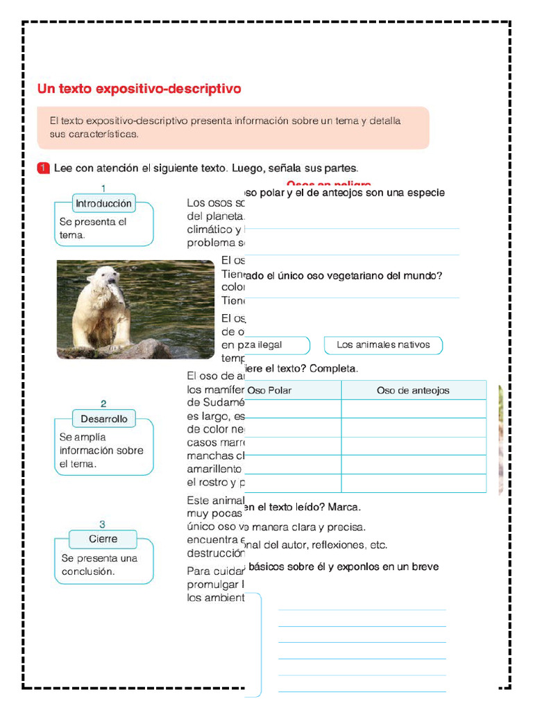 Ficha Textos Descriptivos | PDF