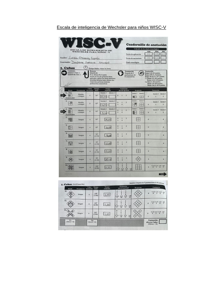 Wisc V | PDF