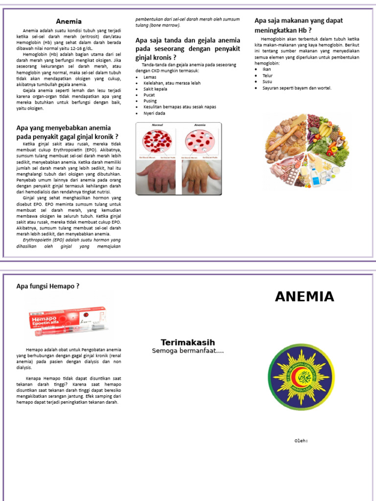 23 - 3 - Riana (Leaflet Anemia) | PDF | Anemia | Endocrine System