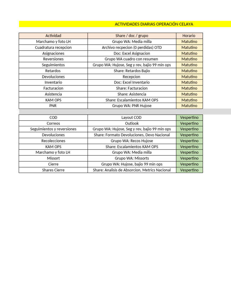 Daily Ops Celaya | PDF