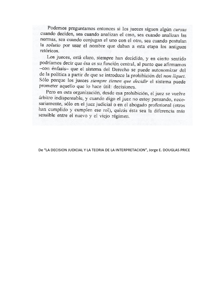 La Decisión Judicial y La Teoría de La Interpretación Jorge Eduardo ...