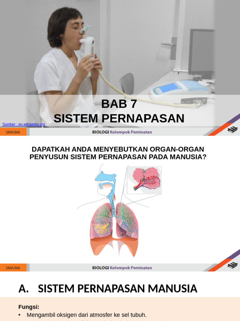 Bab 7 - Sistem Pernapasan | PDF