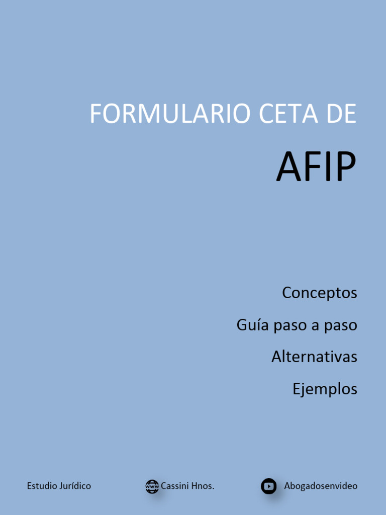 Formulario Ceta Afip Manual PDF Guia Paso A Paso | PDF