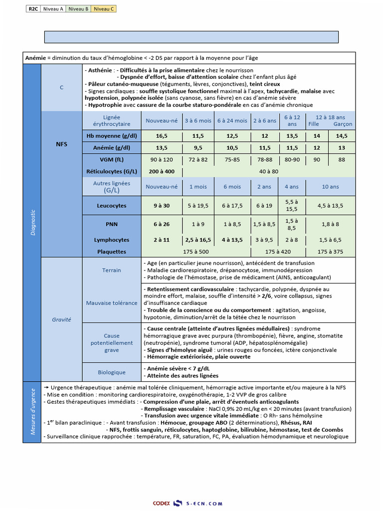 ITEM-R2C 213 (Ex-209) - ANÉMIE CHEZ L'ENFANT-1 | PDF