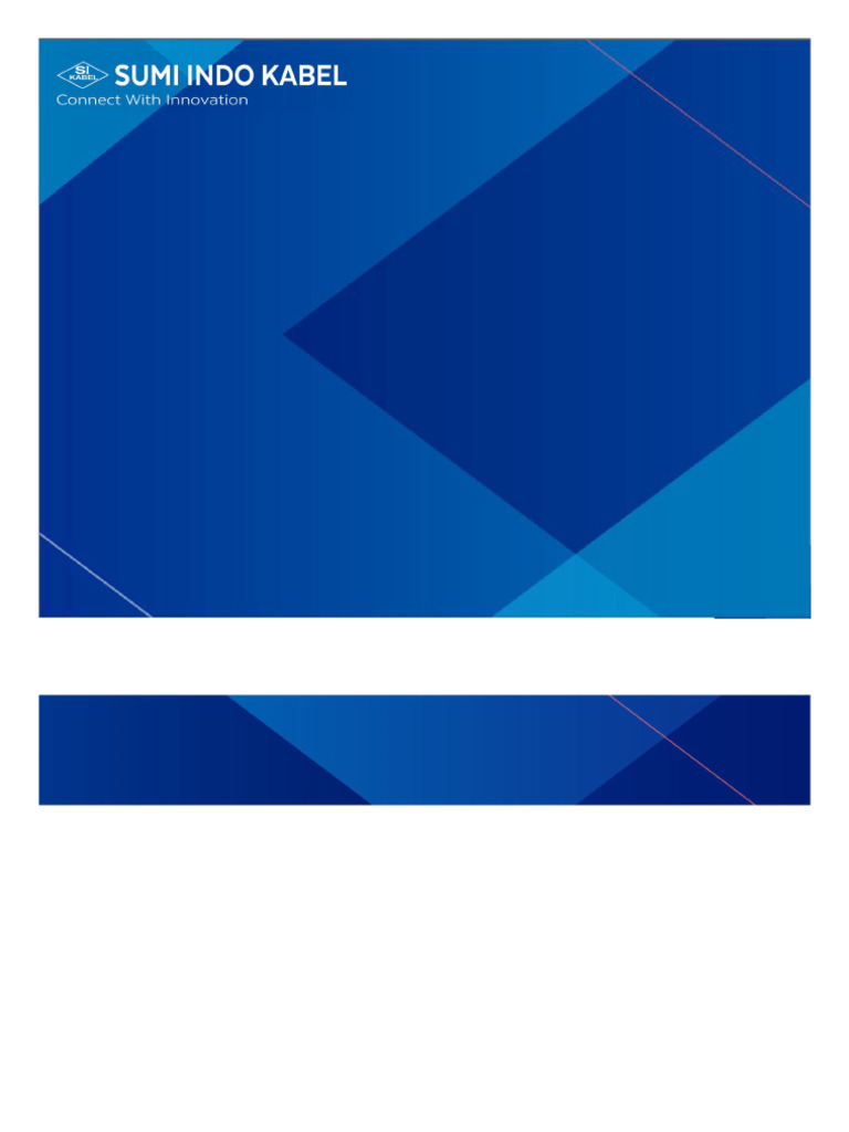 Public Expose SUMI 2024 | PDF