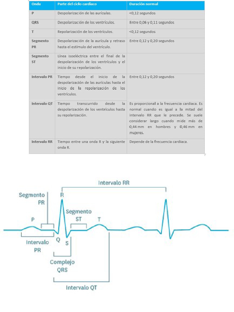 ECG | PDF
