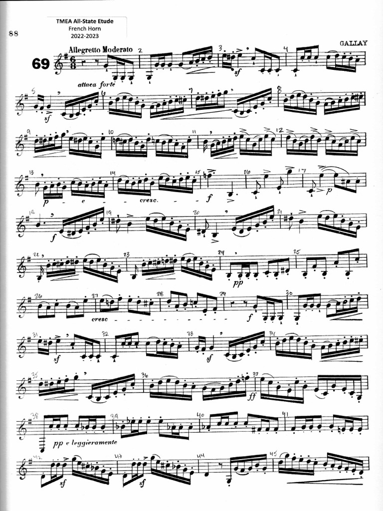 Texas TMEA - Region - 2022 - 2023 | PDF