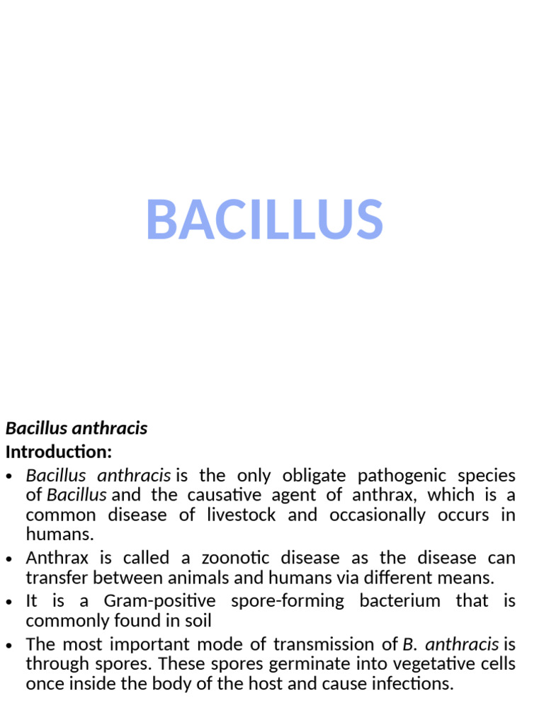 Bacillus | PDF