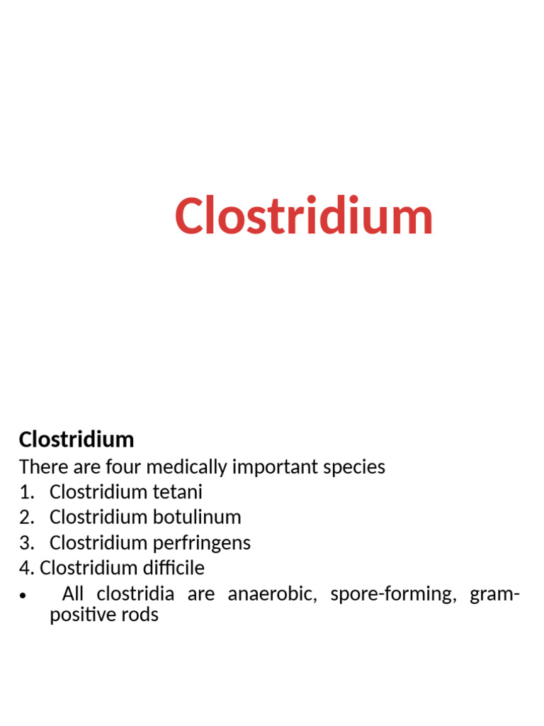 Clostridium | PDF
