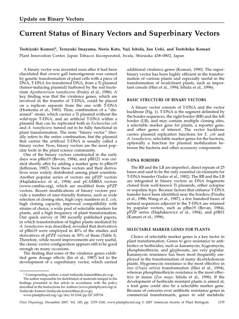 Binary Vector | Download Free PDF | Plasmid | Molecular Cloning