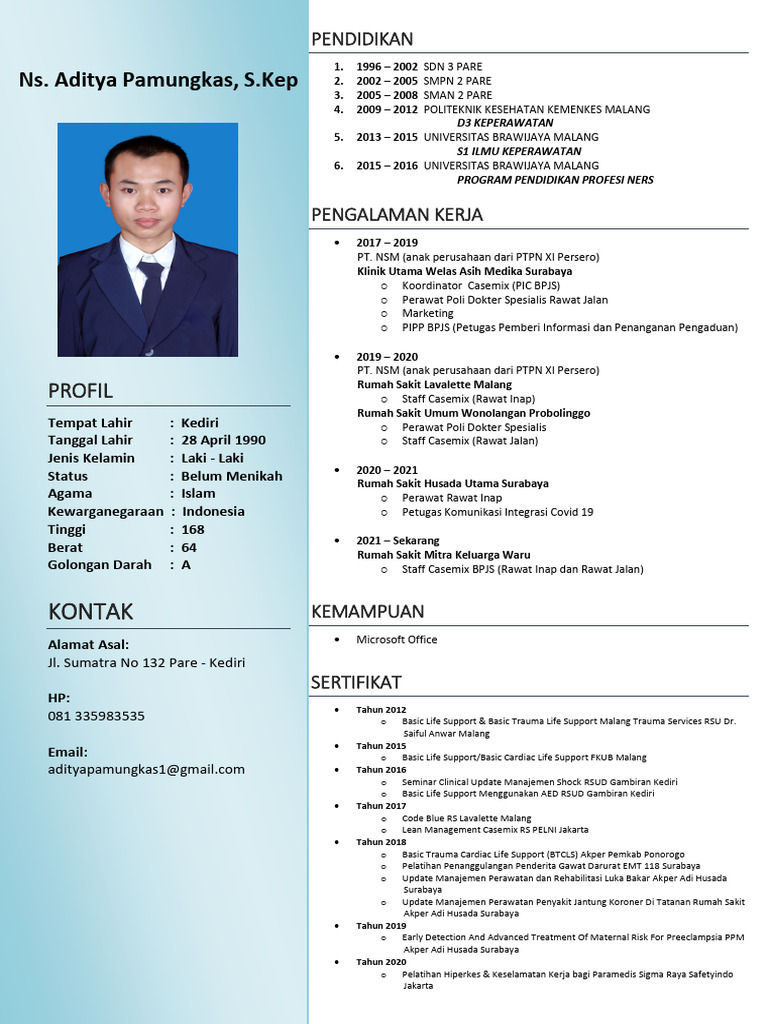 CV Aditya Pamungkas | PDF