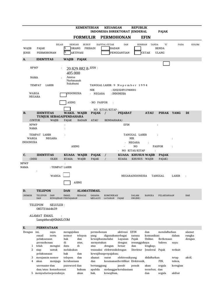 Form Permohonan EFIN | PDF