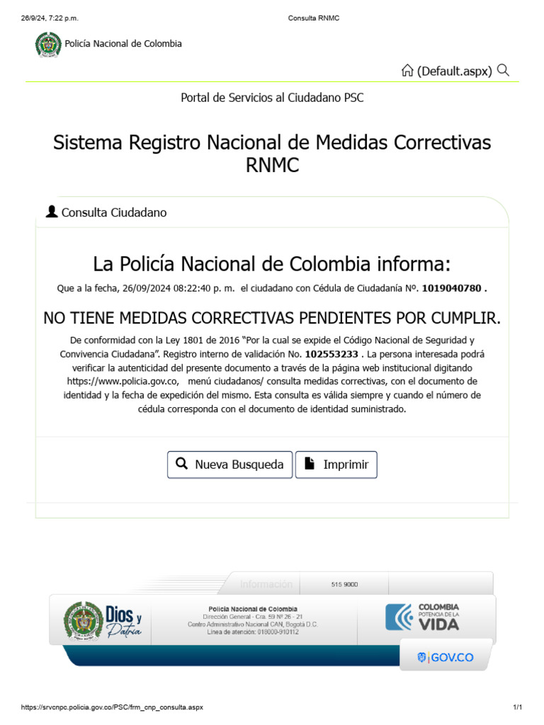 Consulta RNMC Sebas | PDF