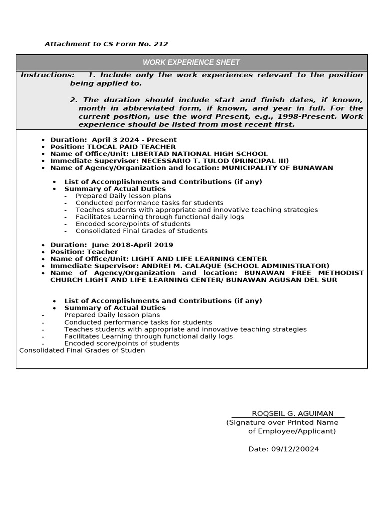 Work Experience Sheet Sample | PDF