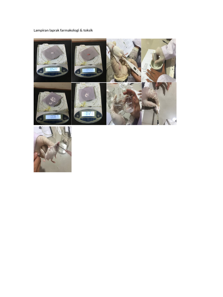 Lampiran Laprak 4 | PDF