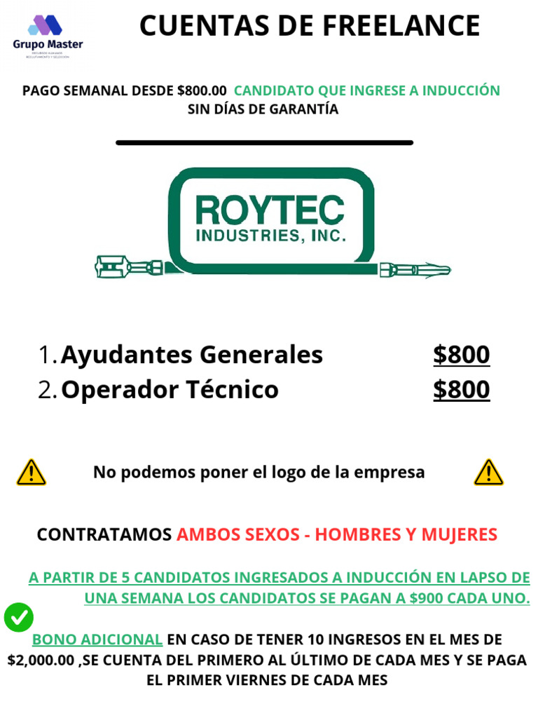 Roytec - Freelance Individual | PDF