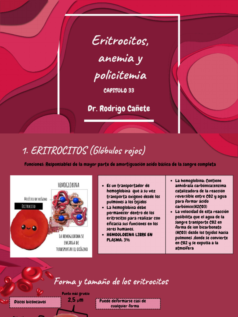 Capitulo 33 Guyton - Eritrocitos | PDF