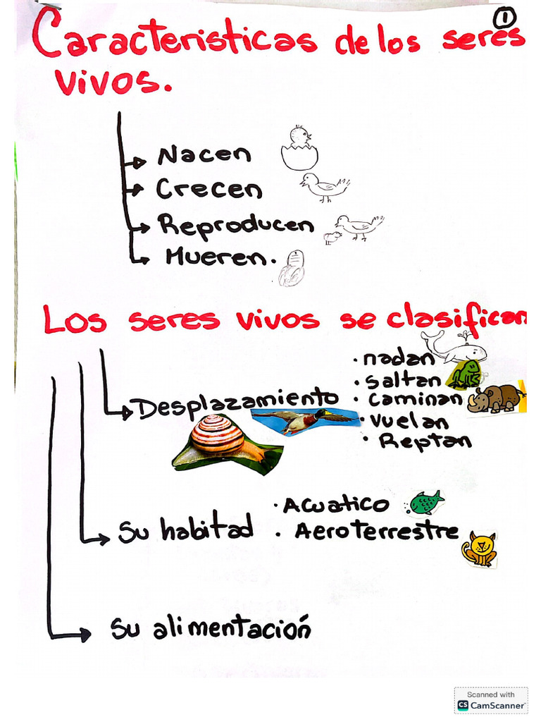 Cs Naturales 4to Grado Bachi | PDF