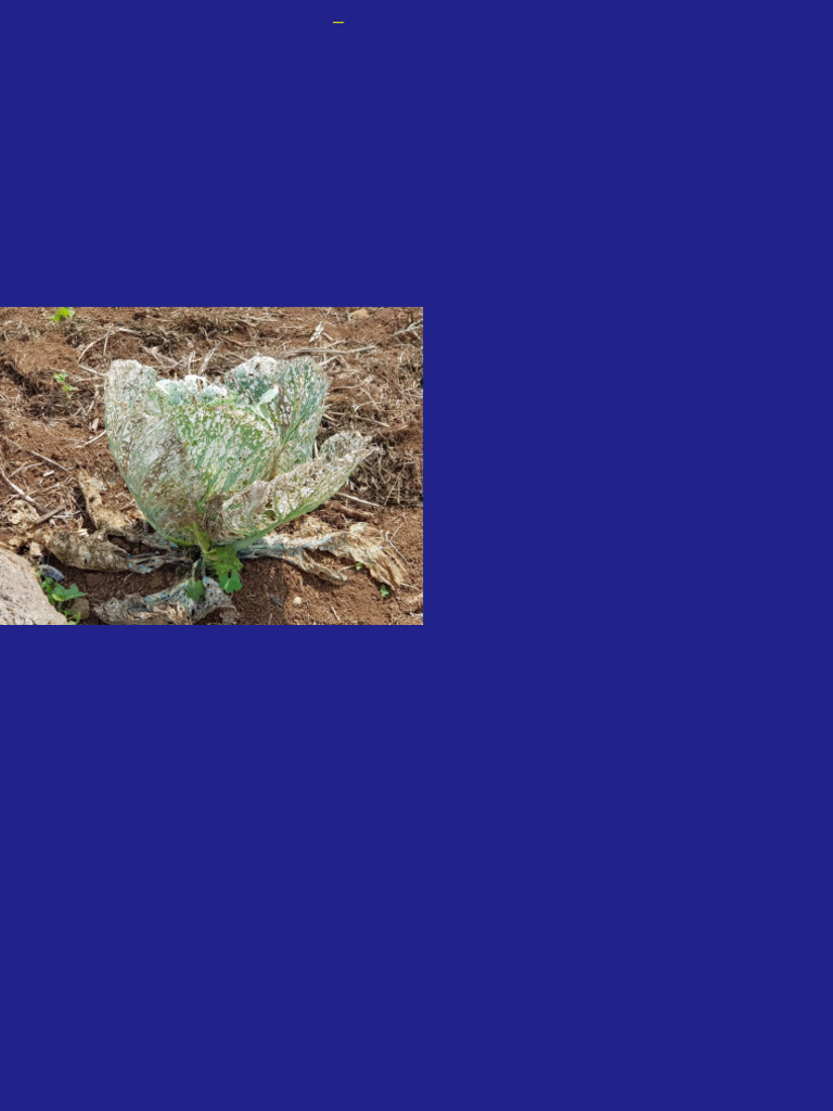 Integrated Pest Management Guide | PDF | Pest (Organism) | Pest Control