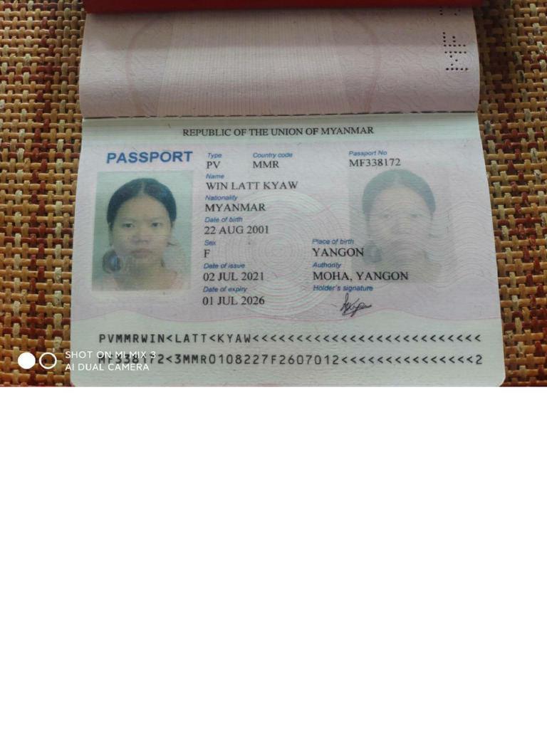 Passport | PDF
