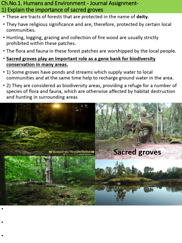 XII Evs - Journal Assignment | PDF