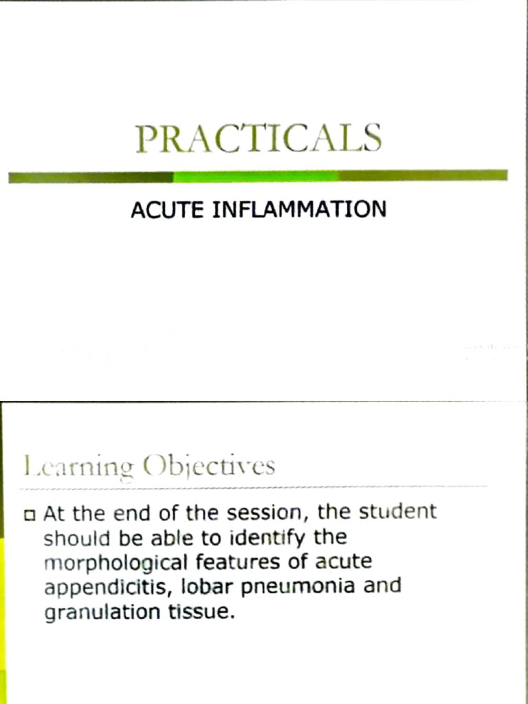 Pathology Acute Inflammation | PDF