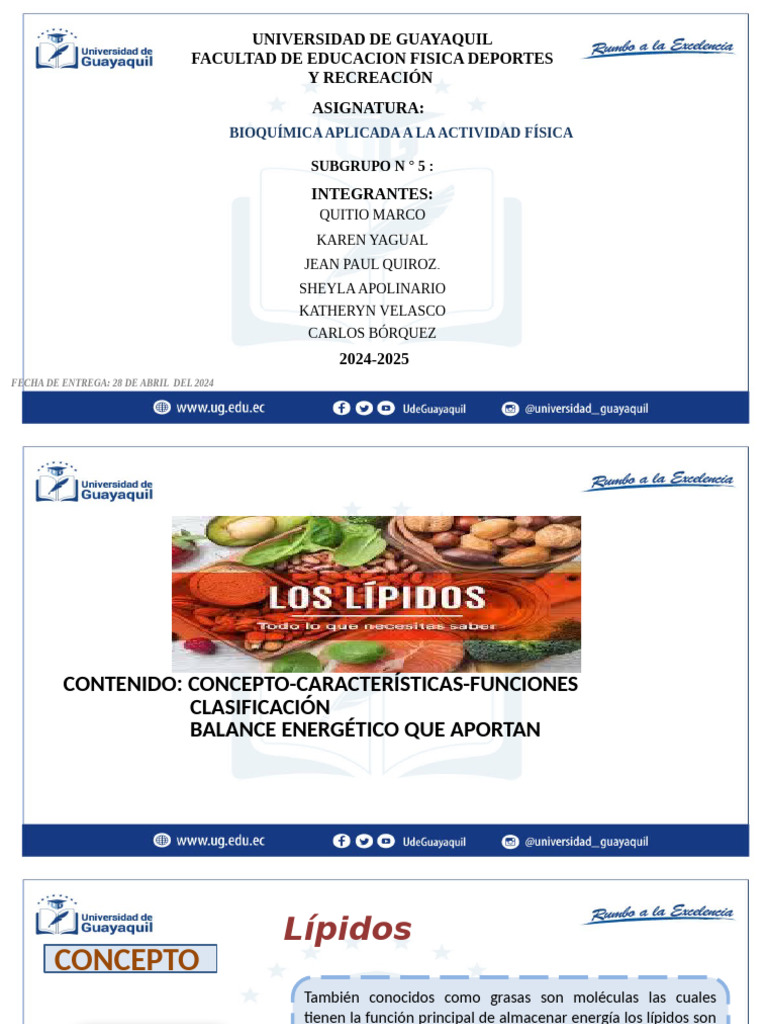 Lipidos | PDF
