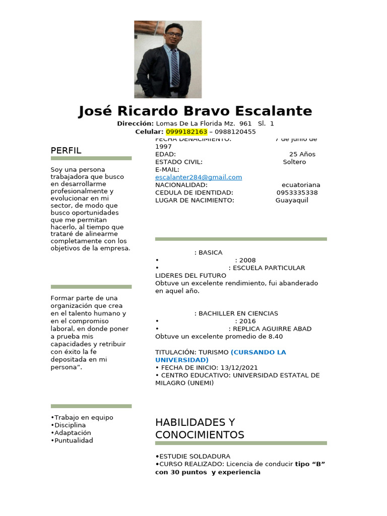 CV Ricardo Nuevo 1 | PDF